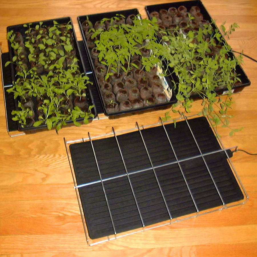 Heated Germination Mats – Cozy Products®
