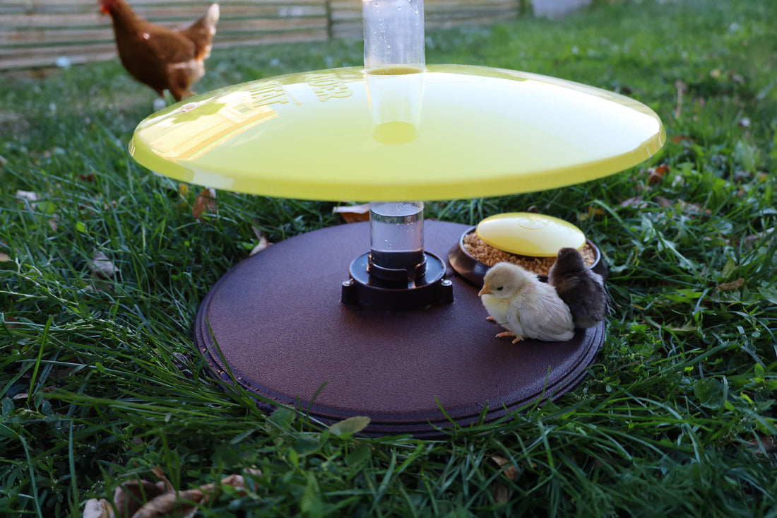 Cozy Products | Energy-Efficient Low Wattage Personal Heaters – Cozy ...