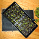 Gro-Mat® Heated Seedling Mat – Cozy Products®