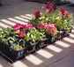Super Gro-Mat® Heated Seedling Mat – Cozy Products®