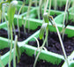 Super Gro-Mat® Heated Seedling Mat – Cozy Products®